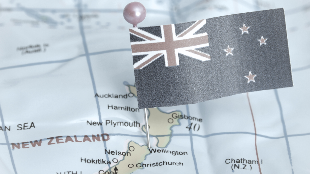 New Zealand Introduces Low-Value Goods Levy on Low Value Imports ...